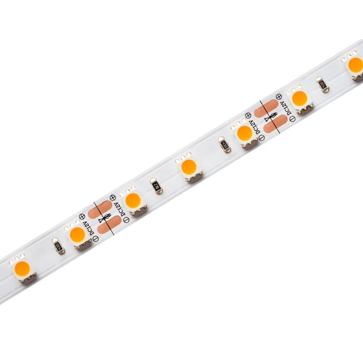 Índice de Proteção IP20 | Luz de Casa